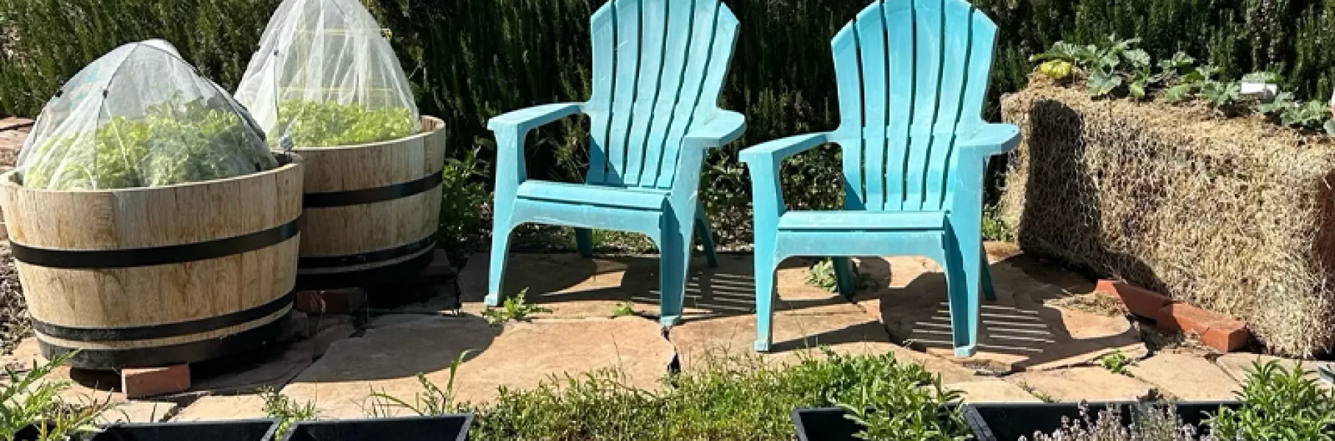 June 2025: Patio Gardening | UC Agriculture and Natural Resources